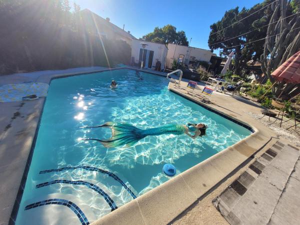 Urban Farm House +Hot Tub+pool - Norwalk, CA