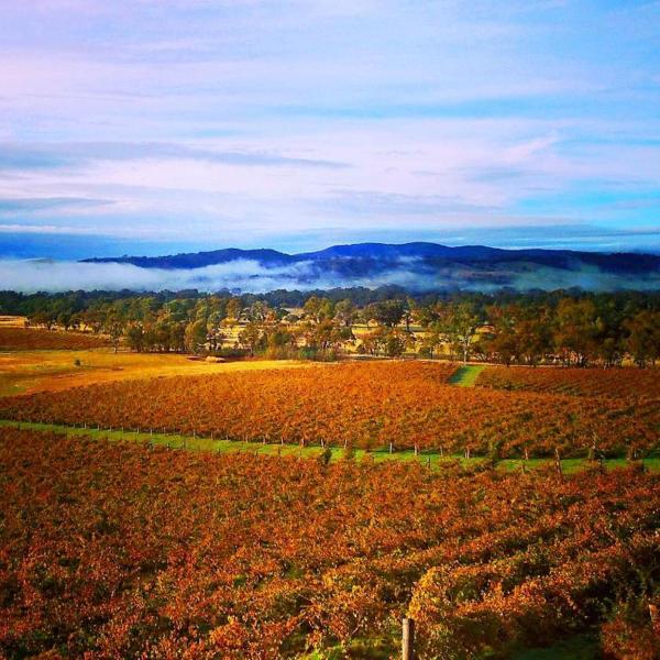 4 Bedroom Holiday House In Winery - Avoca