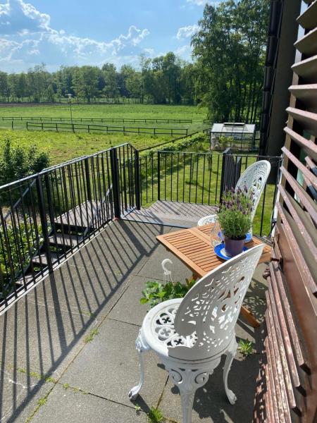 Ferienwohnung Hohenheide - Ostbevern
