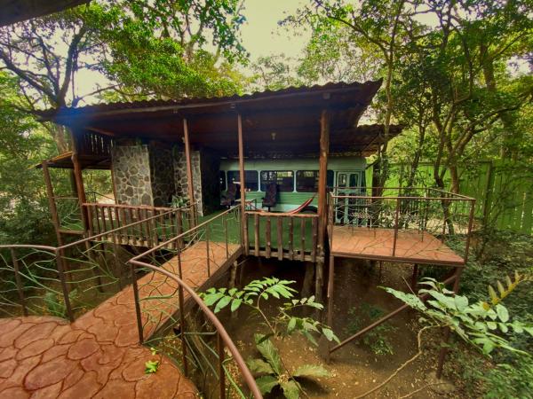 Ficus Wonders Bus - Monteverde