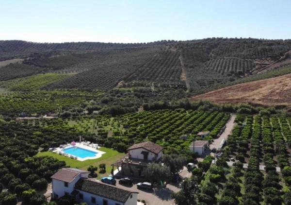 Agriturismo Trappeto Vecchio - Calabria
