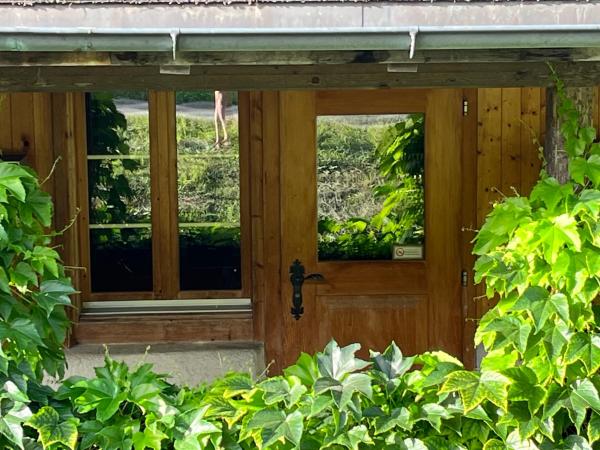 Chalet Alpen Lotus - Meiringen