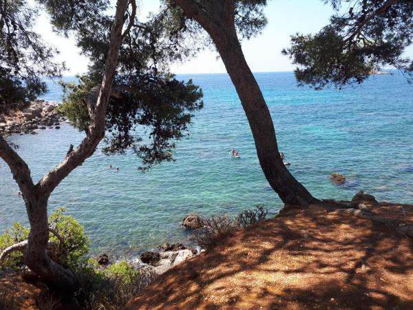 Bandol, T3, Les Pieds Dans L'eau, Presqu'île Du Capelan - Bandol