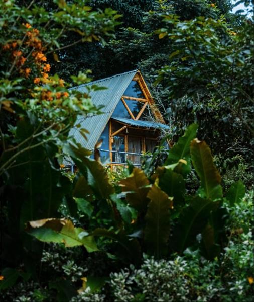 Boscaje Solarpunk Habitat - La Mesa