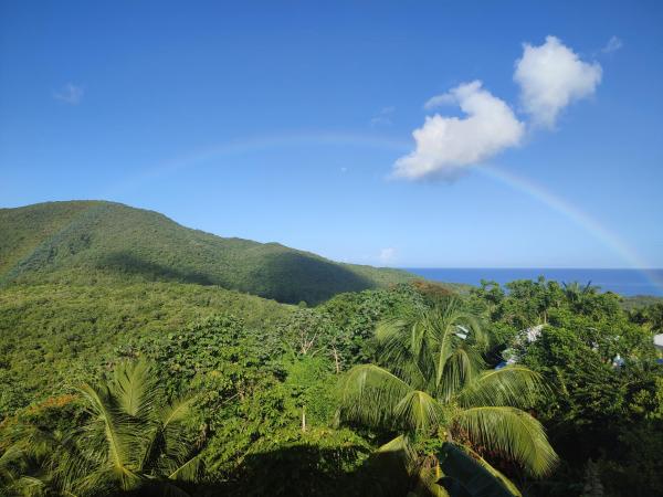 Villa Vue De Rêve Mer & Forêt Primaire - Martinica