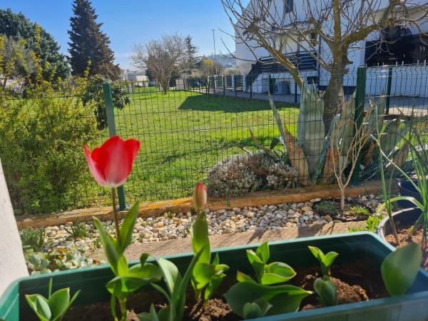 Holiday House Lea - Pula