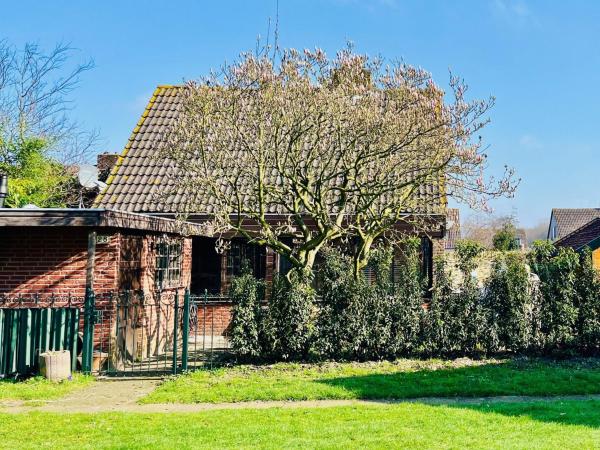 Family Home Near Lake, Beach And Dunes - Lisse