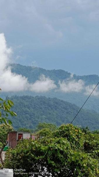 Rasa- Divine (Rishikesh) - Rishikesh