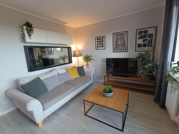 Apartament Jawornicka 7 / Grunwald - Poznań