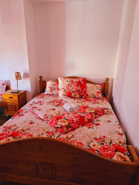 Aliando Medieval - Sighișoara