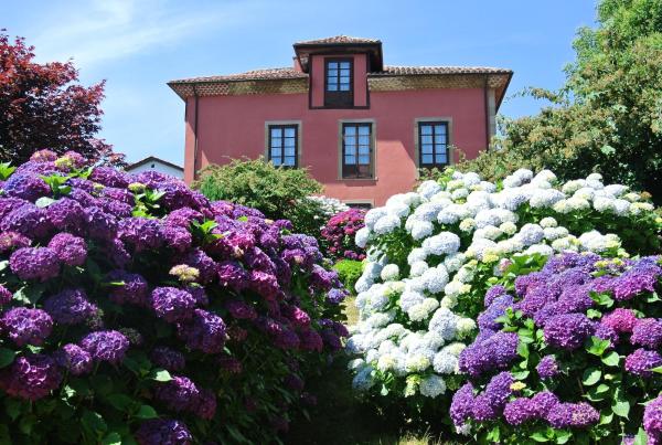 Hotel Rural El Algaire - Salas