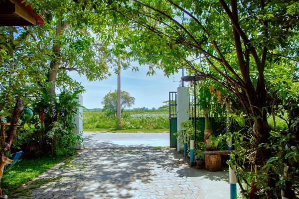 New Cormorant Lake Resort & Yala Safari Place - Sri Lanka