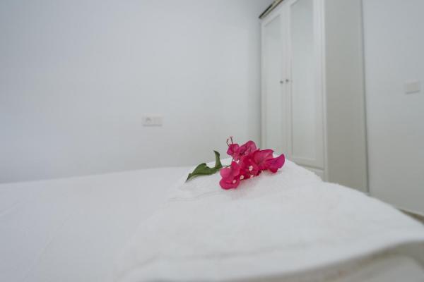 Apartamento Carmen - Almuñécar