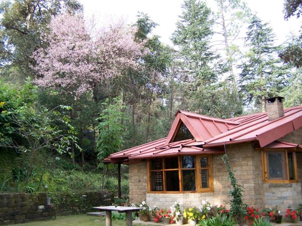 Snow View Cottage Kasardevi - Almora