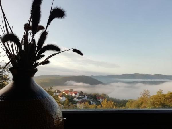 Haus Blick Am Edersee 13 P - Waldeck