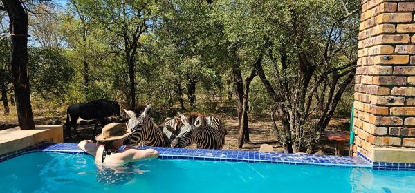 The Wild Bunch Safari House - Marloth Park