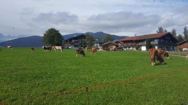 Ferienwohnung Max Hofreiter Jun. - Obersalzberg