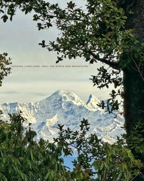 Hotel Rajshree Palace - Chamoli