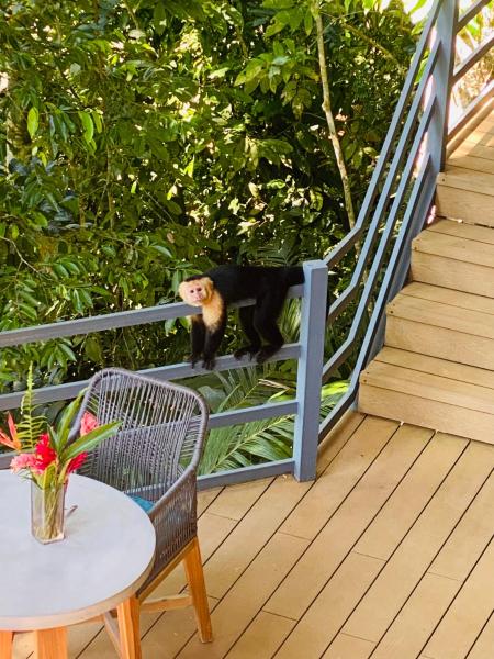 Villas En El Bosque - Costa Rica
