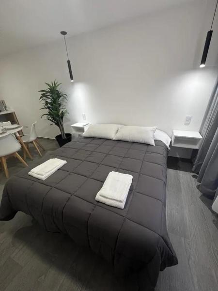 Departamento Luminoso A Estrenar En Mendoza - Mendoza