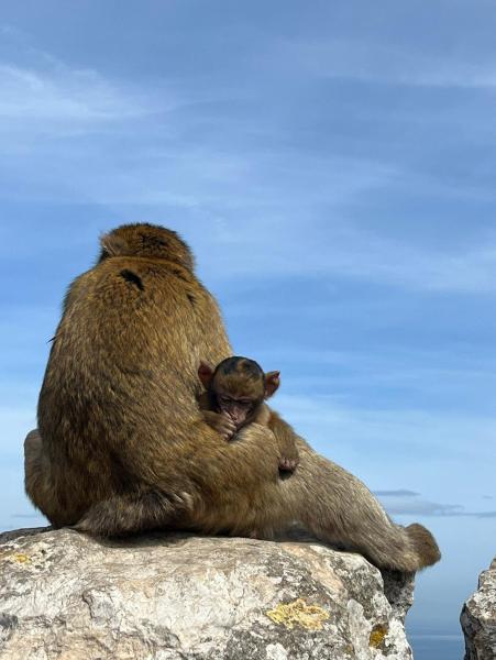 Sunny Gibraltar - Gibraltar