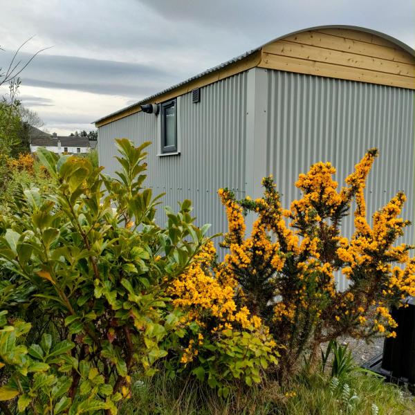 Dingle Way Glamping Danú Annascaul - アイルランド