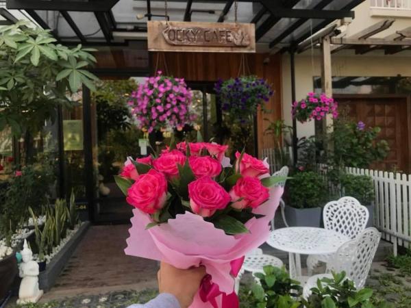 Rocky Cafe & Mini Apartment - Cambodia