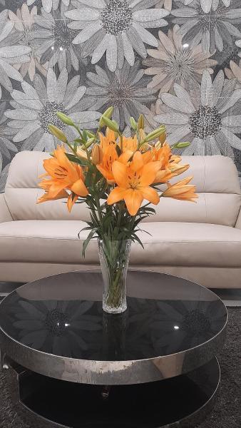 Homestay-kim Mã -Giang Văn Minh - Hanoi