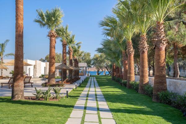 Regia Mare Beach Hotel & Spa Bodrum - Ortakent