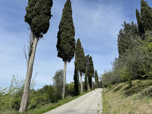 Montebello, Cuore Toscano - Certaldo