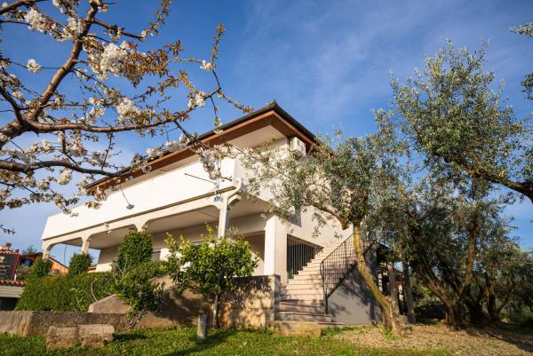 Olive Garden Apartment - Umag