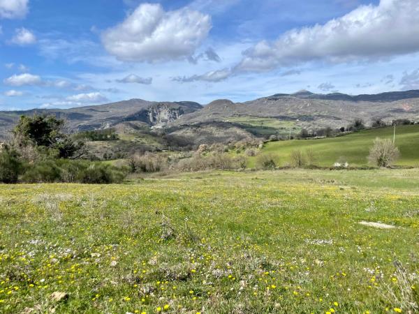Podere Casagrande - Toscana