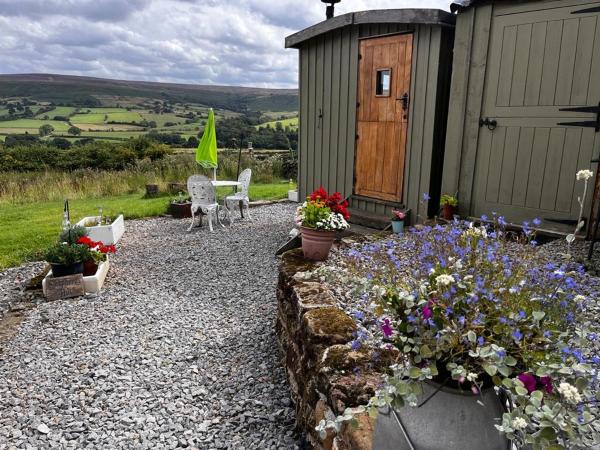 Shepherd's Hut Bilsdale - North Yorkshire