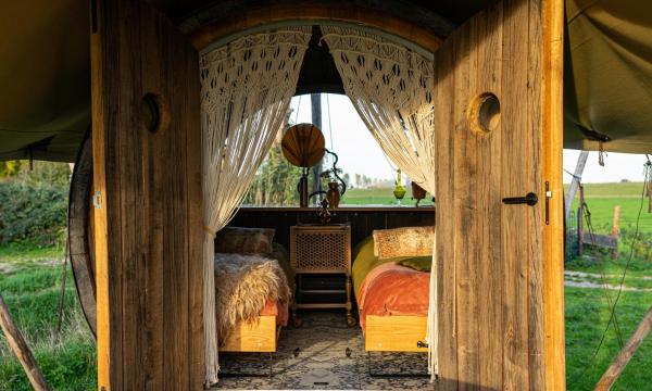 Tiny Winey House No 2 - Gelderland