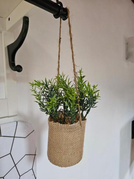 Casa Elisa E Casa Giuliana A Badalucco - Santo Stefano al Mare