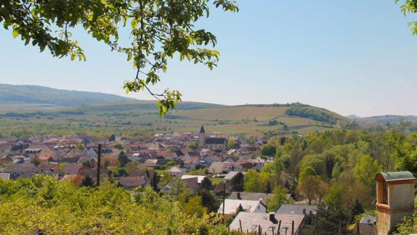 Villa Bonita Del Kaiserstuhl - Sasbach am Kaiserstuhl