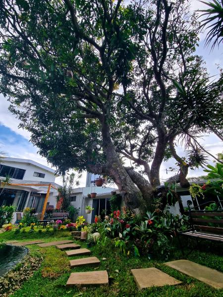 Casa Jardin Del Mango - 聖荷西