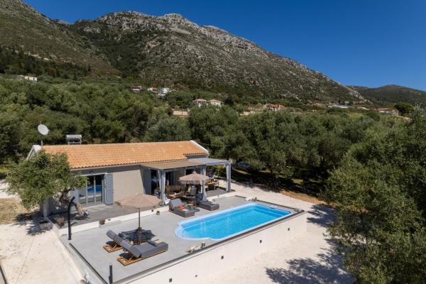 Tree Of Life - Kefalonia