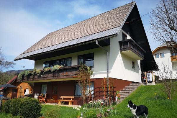 Apartma Andrej - Rateče