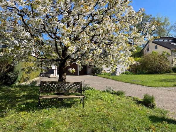 Ferienwohnung Am Kirschbaum - Bodensee