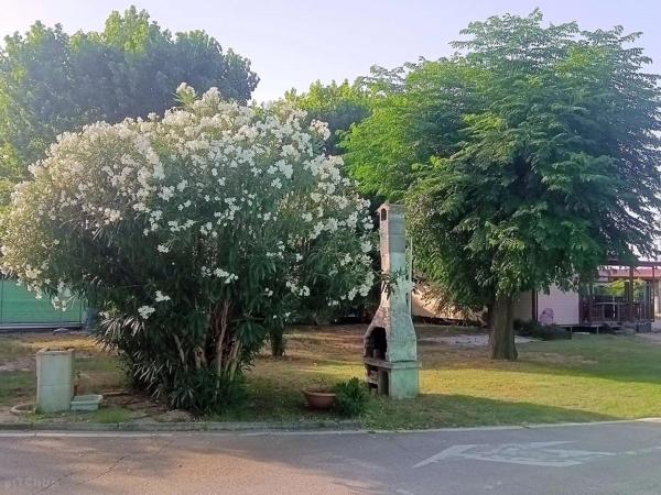 L'oasi Di Lulu' - Senigallia
