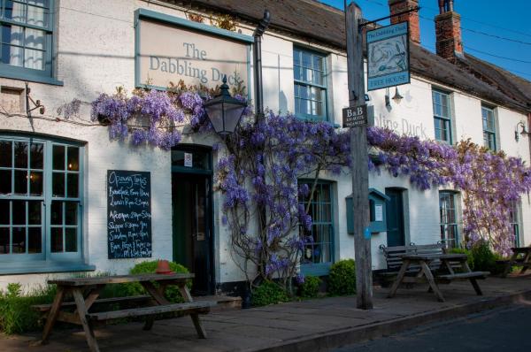 The Dabbling Duck - Swaffham