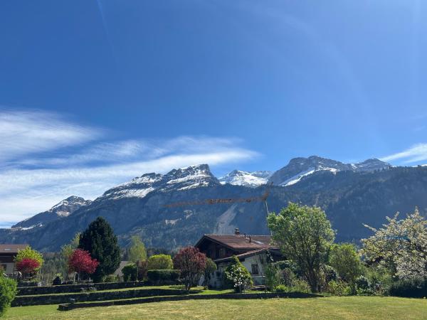 Ferienwohnung Sonnenseite Brienz - Brienz