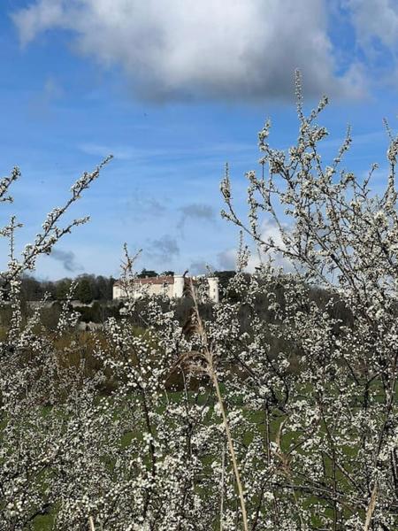 Le Gîte De Marie Ray Sur Saône - Haute-Saône