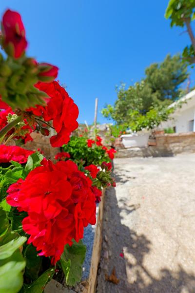 Flower Vila - Saranda