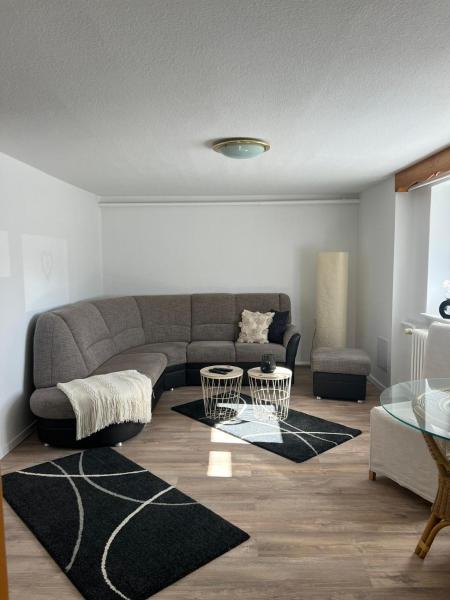 Erzhof Nassau- Ferienwohnung An Der Loipe - Holzhau