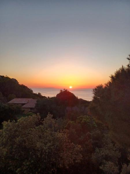 Villa La Lecceta Surrounded By Greenery And Sea View With Sunset - Costa Paradiso