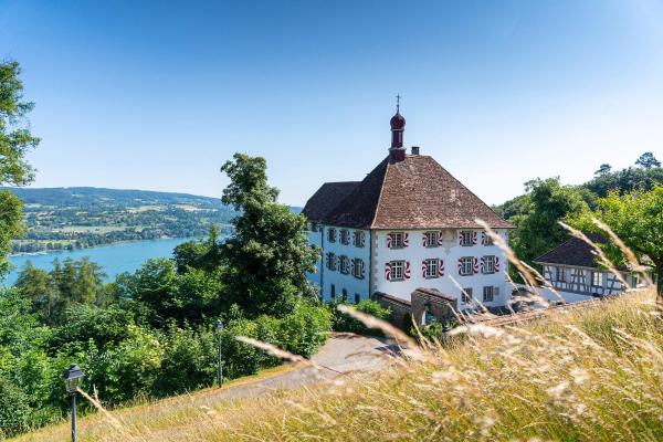 Schloss Freudenfels - Lac de Constance