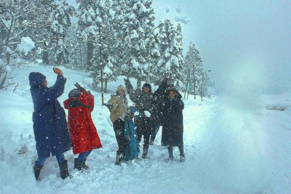 Luminaire Homestay - Srinagar