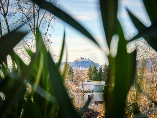 Alpenpanorama Karl Und Johanna - Salzburg